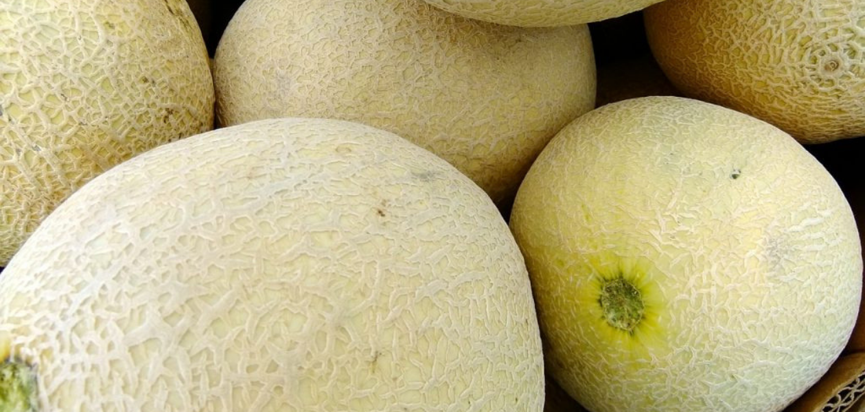 Sabeu com triar un bon meló? - Chefs(in)