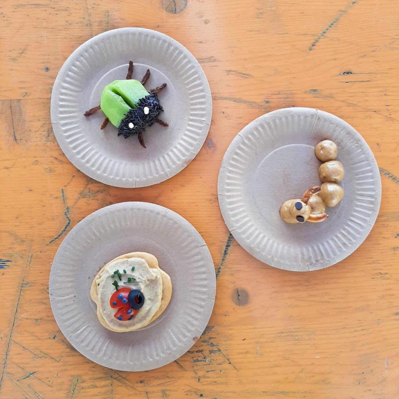 El Dia de Nassos y de insectos de fruta - Chefs(in)